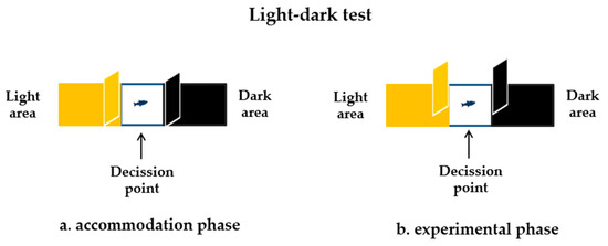 Histopathological and Behavioral Impairments in Zebrafish (Danio rerio ...