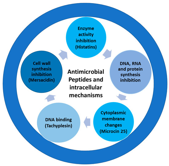 Antimicrobial Peptides: The Production of Novel Peptide-Based ...