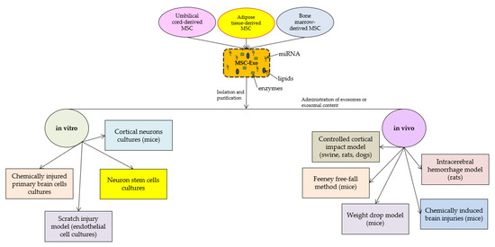The Role of Microglial Exosomes and miR-124-3p in Neuroinflammation and ...