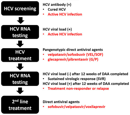 Chronic Hepatitis C Virus Infection: An Ongoing Challenge in Screening ...