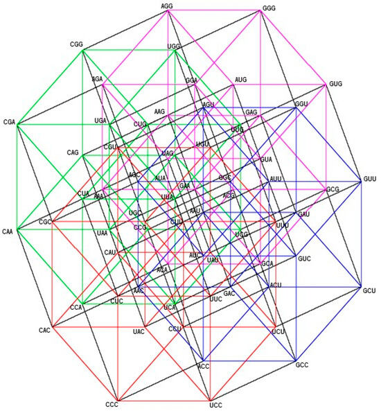 Groups of Symmetries of the Two Classes of Synthetases in the Four-Dimensional Hypercubes of the ...