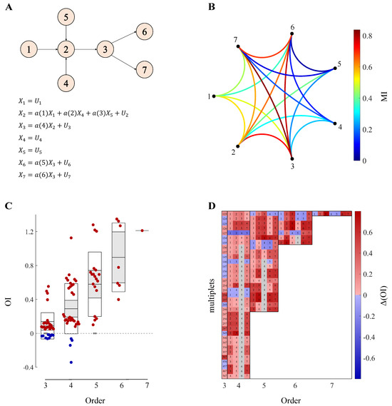 Statistical Approaches to Identify Pairwise and High-Order Brain ...