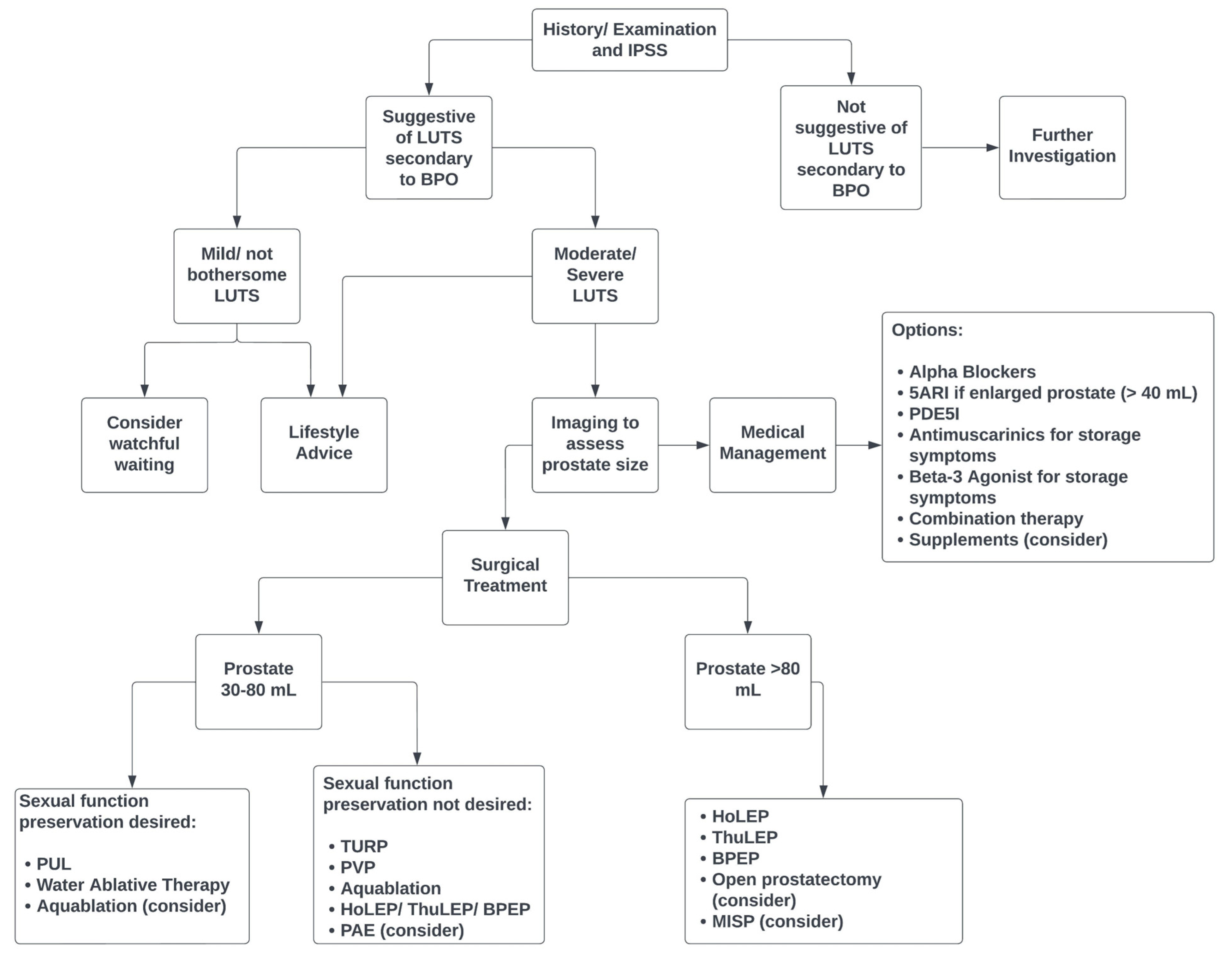 Male Pelvis With Benign Prostate Hyperplasia Clinical Charts And Supplies