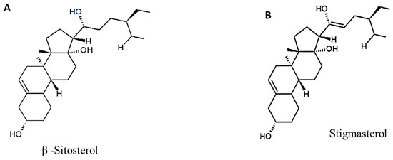 Bowiea volubilis: From “Climbing Onion” to Therapeutic Treasure ...