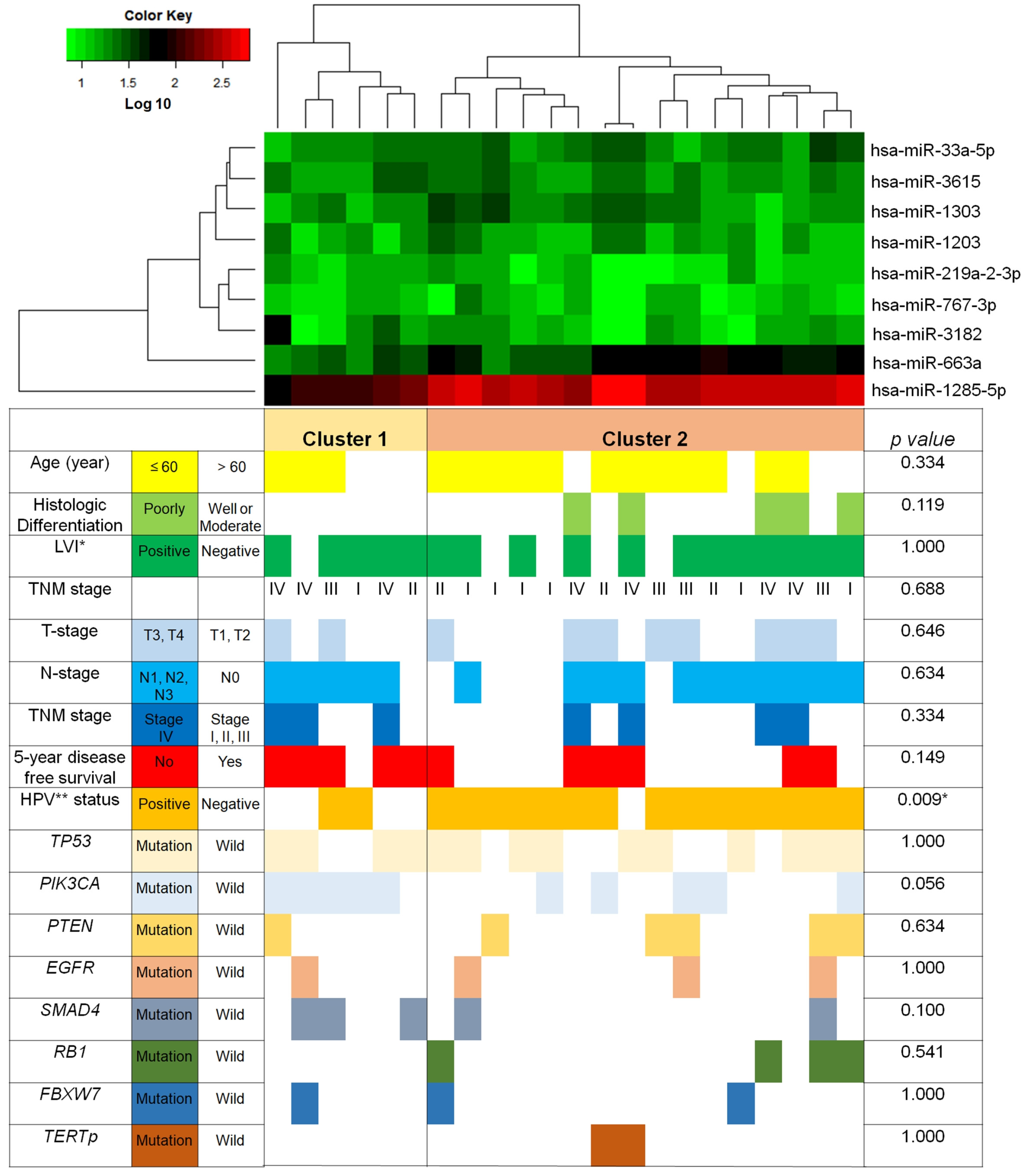Life Free Full Text Dysregulated Microrna Expression Relevant To Tert Promoter Mutations In