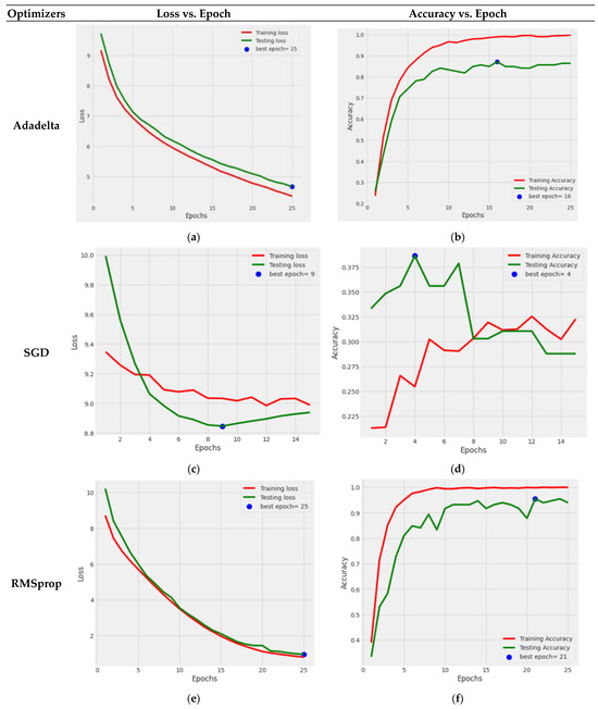 Life | Free Full-Text | An Intelligent Attention-Based Transfer ...