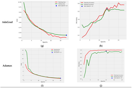 Life | Free Full-Text | An Intelligent Attention-Based Transfer ...