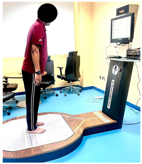 Exploring the Interplay of Muscular Endurance, Functional Balance, and ...