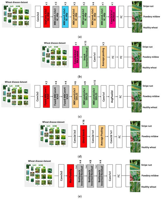 Life | Free Full-Text | Recognition of Wheat Leaf Diseases Using Lightweight Convolutional ...