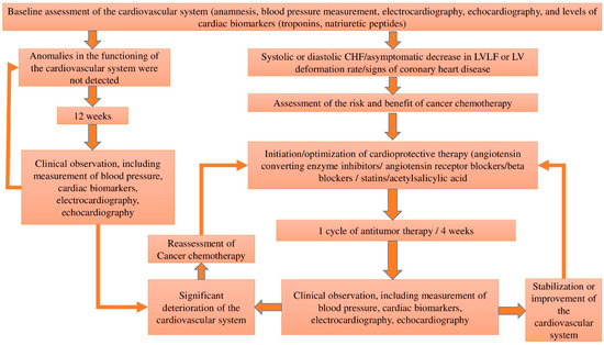 The Essential Strategies to Mitigate Cardiotoxicity Caused by Doxorubicin