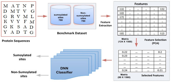 Life | Free Full-Text | Enhancing Sumoylation Site Prediction: A Deep Neural Network with ...