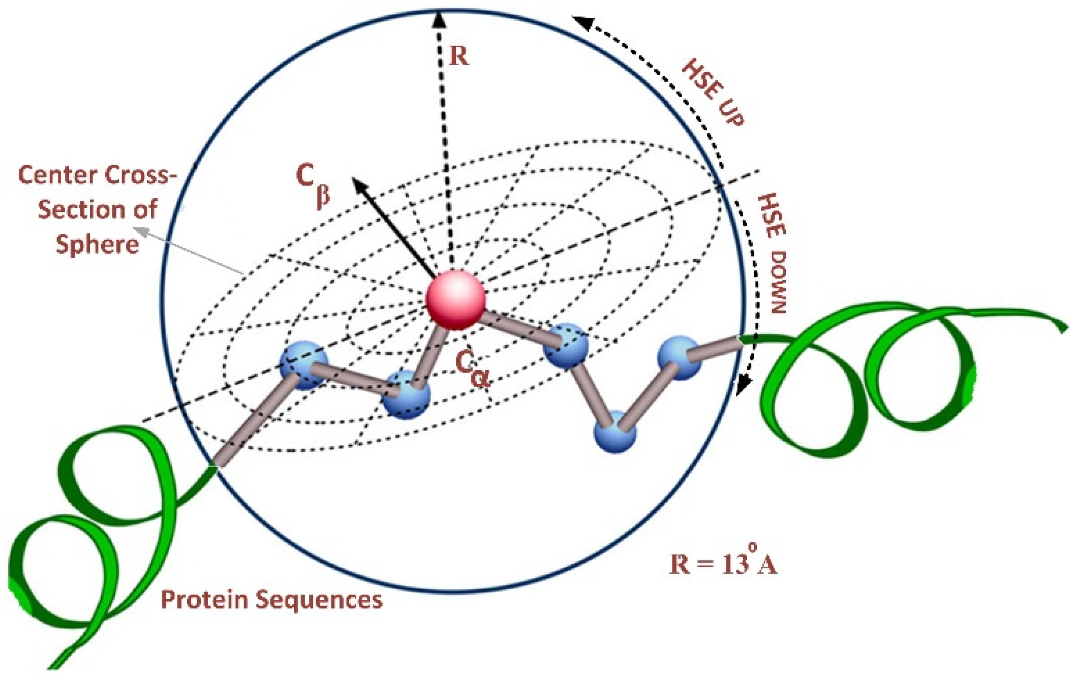 Enhancing Sumoylation Site Prediction: A Deep Neural Network with ...