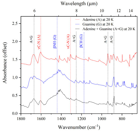 Infrared Spectral Signatures of Nucleobases in Interstellar Ices I: Purines