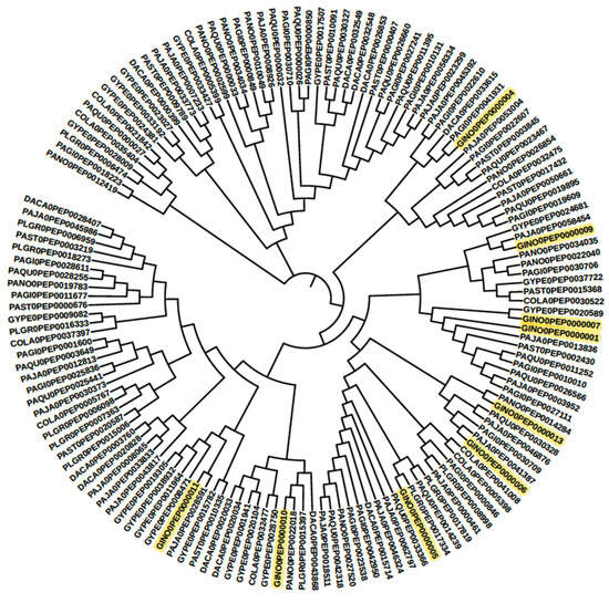 Life | Free Full-Text | Genome-Wide Comparative Profiles of ...