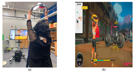 Life | Free Full-Text | Home-Based Virtual Reality Exergame Program after Stroke Rehabilitation ...