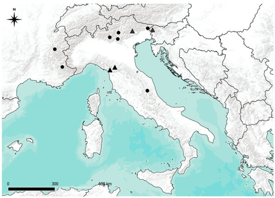 Floristic–Vegetational Features of Geranium argenteum, an Alpine ...