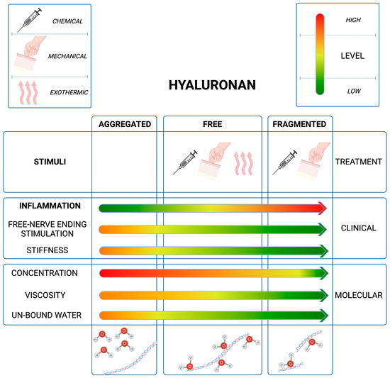 The Effect of Mechanical Stress on Hyaluronan Fragments’ Inflammatory Cascade: Clinical Implications