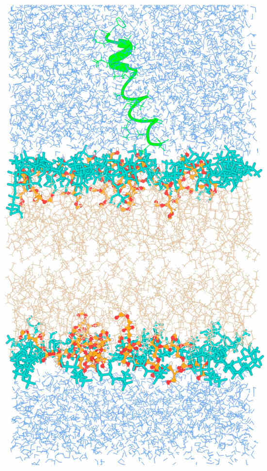 Modeling the Effect on a Novel Fungal Peptaibol Placed in an All-Atom ...