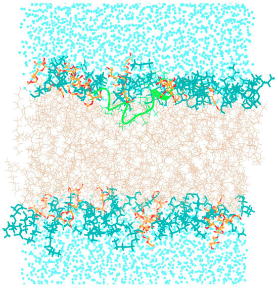 Modeling the Effect on a Novel Fungal Peptaibol Placed in an All-Atom ...