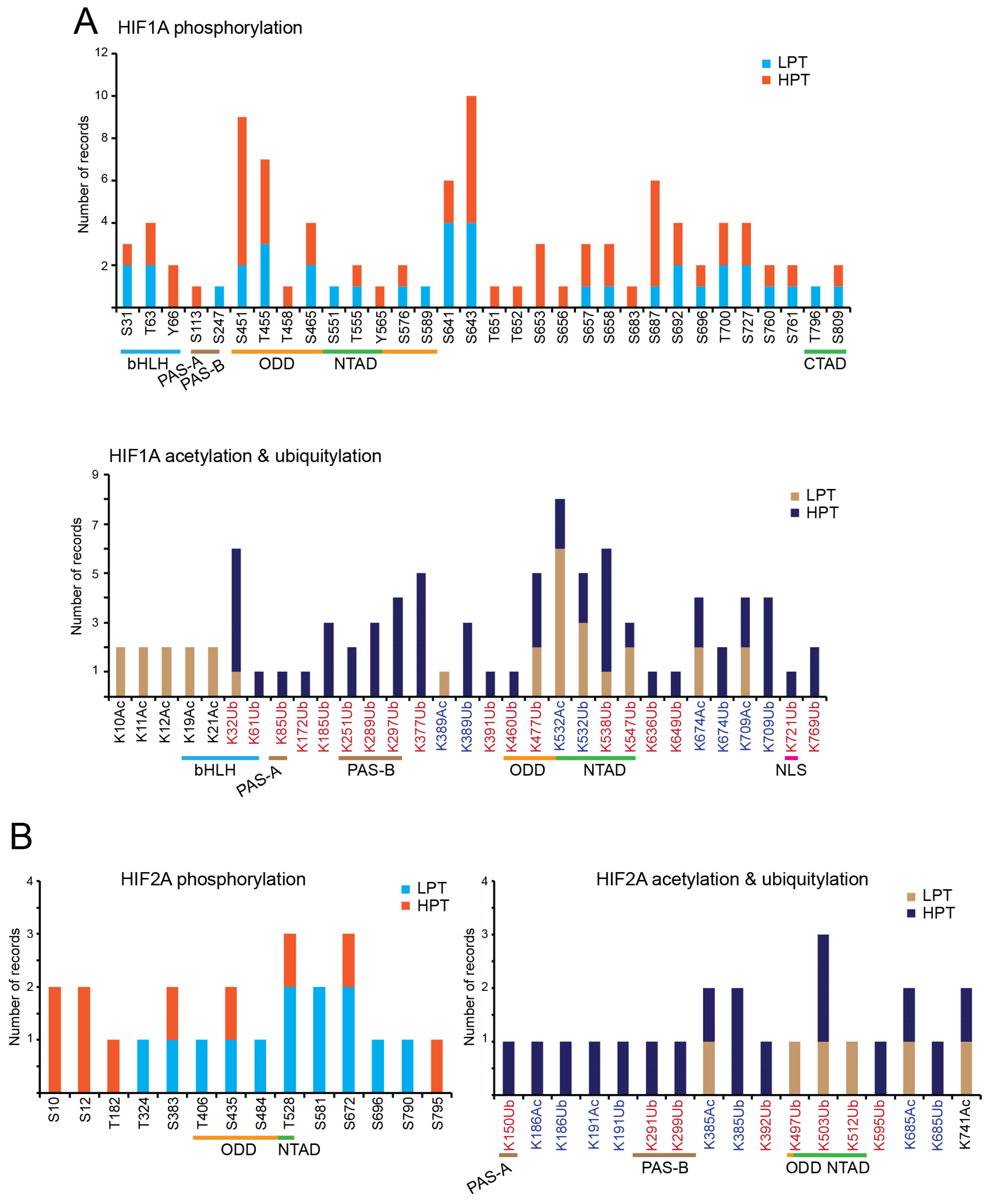 Acetylation and Phosphorylation in the Regulation of Hypoxia-Inducible ...