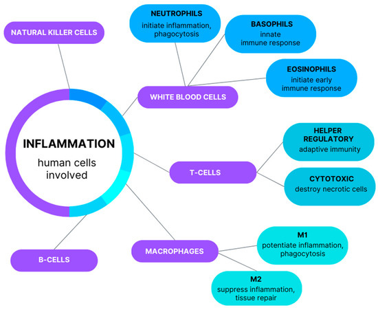 Alloplastic Epidermal Skin Substitute in the Treatment of Burns
