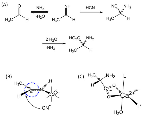 Influence of the Weak Nuclear Force on Metal-Promoted Autocatalytic ...