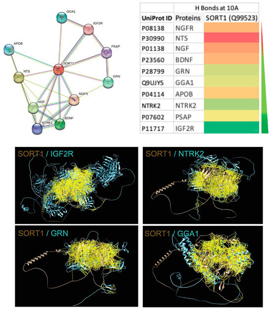 Network Proteins of Human Sortilin1, Its Expression and Targetability ...