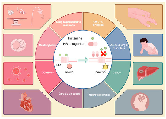 Combination of H1 and H2 Histamine Receptor Antagonists: Current ...