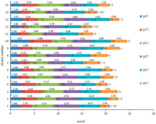 Comparative Analysis of Main Agronomic Traits of Different Pleurotus giganteus Germplasm Resources