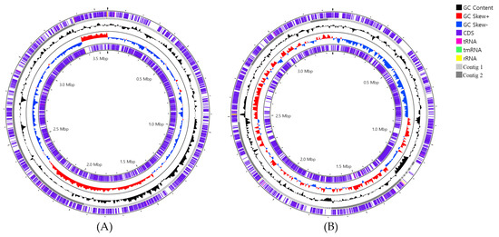 Life | Free Full-Text | Draft Genome Sequence Analyses of Two Novel ...