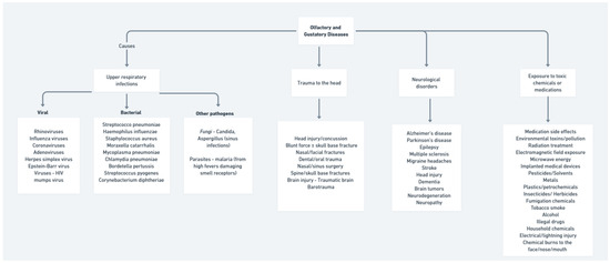 Taste and Smell Disorders: A Critical Look at Olfactory and Gustatory ...