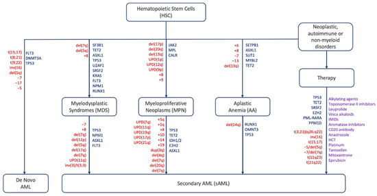 Recent Advances towards the Understanding of Secondary Acute Myeloid ...