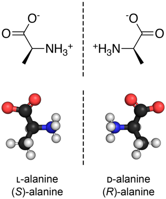 The Mystery of Homochirality on Earth