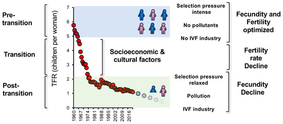 Life | Free Full-Text | The Global Decline in Human Fertility: The Post ...