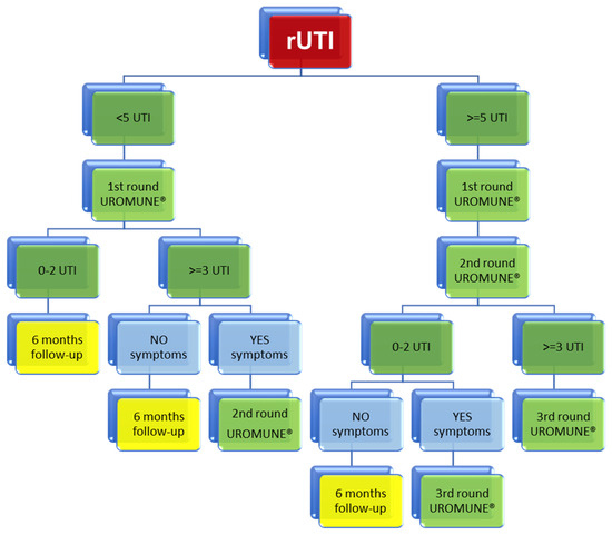 Immunoactive Prophylaxis Protocol of Uncomplicated Recurrent Urinary ...