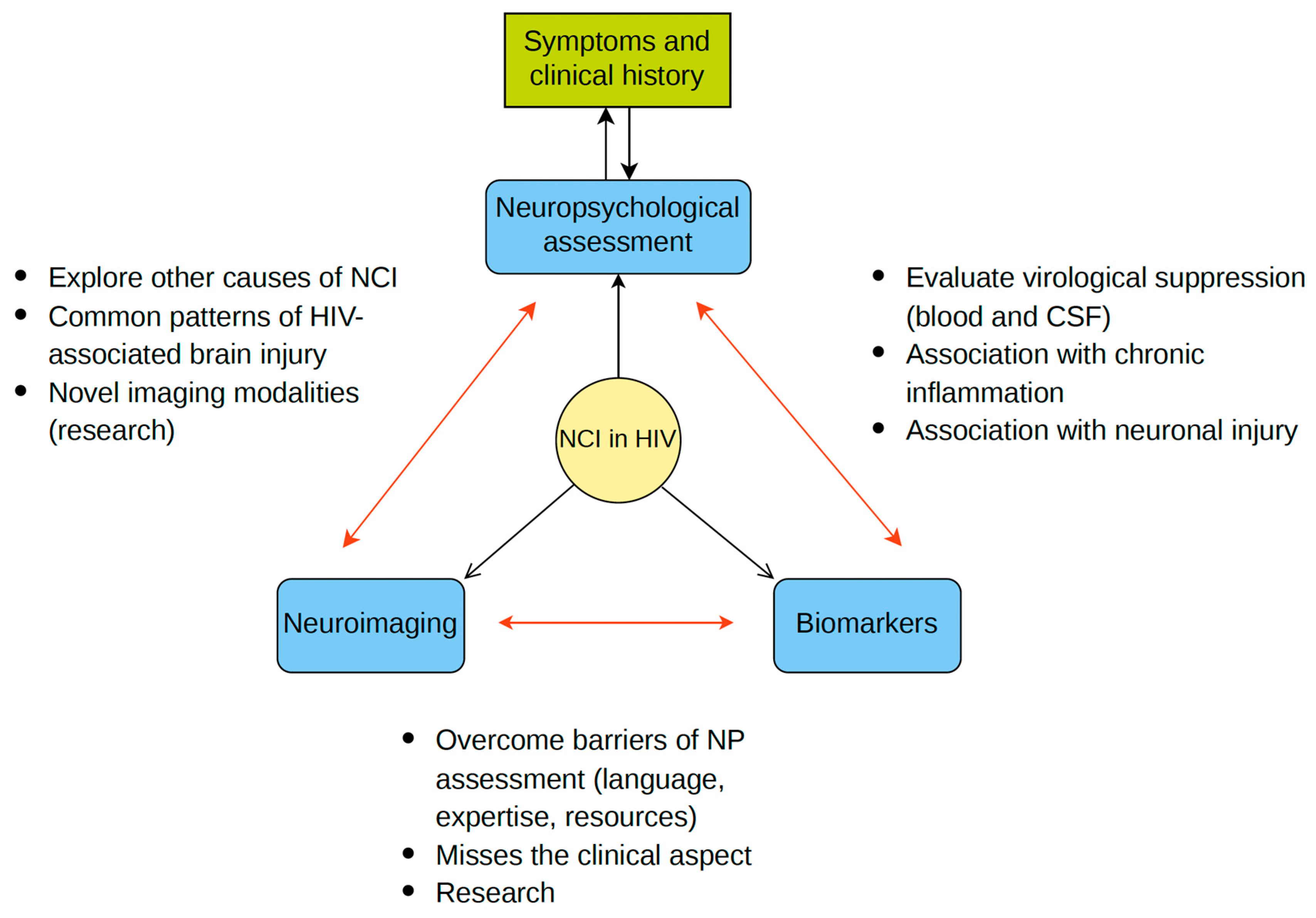 Life | Free Full-Text | Multimodal Approach to Neurocognitive Function ...