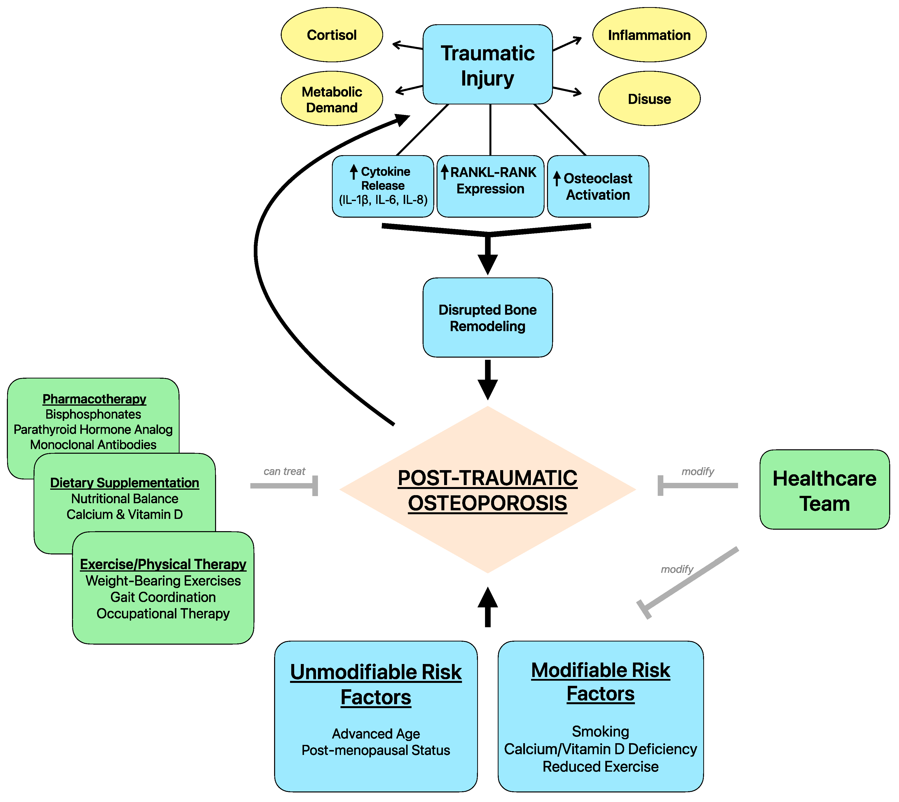 Navigating Post-Traumatic Osteoporosis: A Comprehensive Review of ...