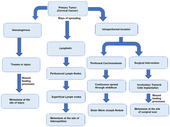 Abdominal Parietal Metastasis from Cervical Cancer: A Review of One of ...