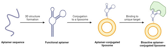 Targeted Liposomal Drug Delivery: Overview of the Current Applications ...