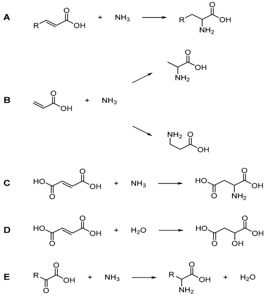 From Zero to Hero: The Cyanide-Free Formation of Amino Acids and Amides ...
