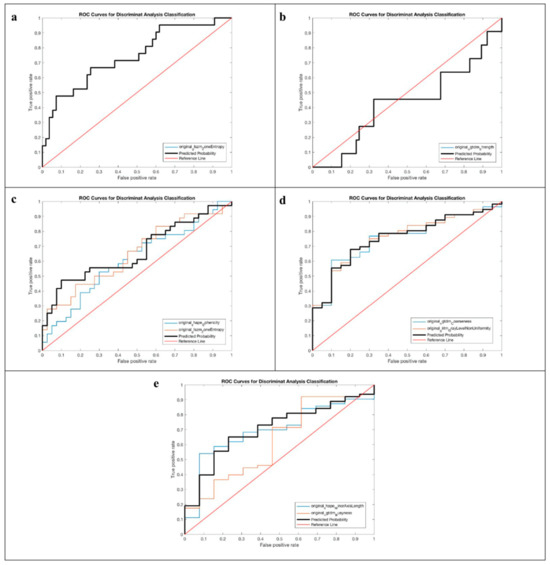 Life | Free Full-Text | Radiomics Analysis of Preprocedural CT Imaging ...