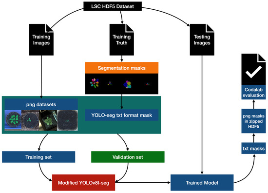 Leaf Segmentation Using Modified YOLOv8-Seg Models