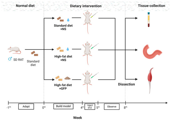 The Role of Grifola frondosa Polysaccharide in Preventing Skeletal ...