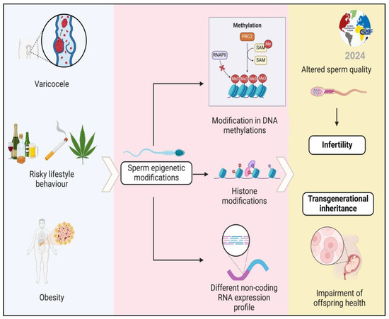 Behind the Genetics: The Role of Epigenetics in Infertility-Related ...