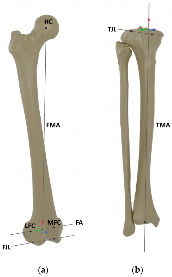 A New Methodology for the Accurate Measurement of Tibiofemoral ...