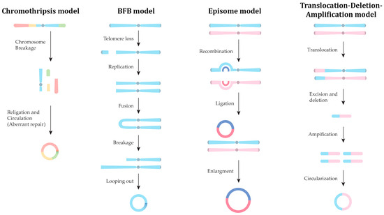 Beyond the Chromosome: Recent Developments in Decoding the Significance ...