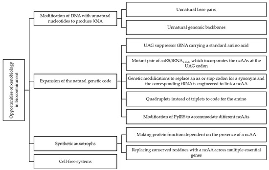 Xenobiology for the Biocontainment of Synthetic Organisms ...