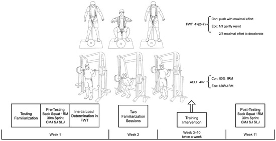 Effects of Inertial Flywheel Training vs. Accentuated Eccentric Loading ...