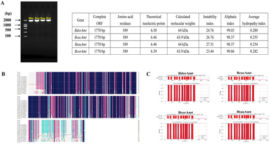 Molecular Characterization, Evolution and Expression Analysis of ...