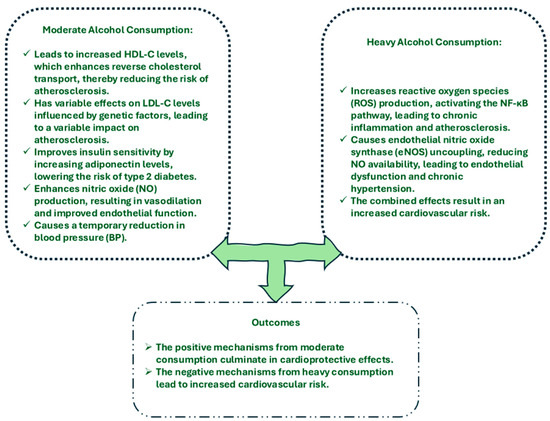 Alcohol Consumption and Cardiovascular Disease: A Narrative Review of ...